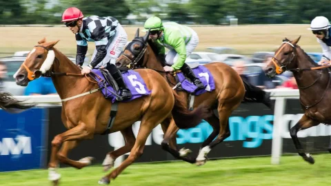 Horse racing betting insights | Tips & Analysis from bettingexpert