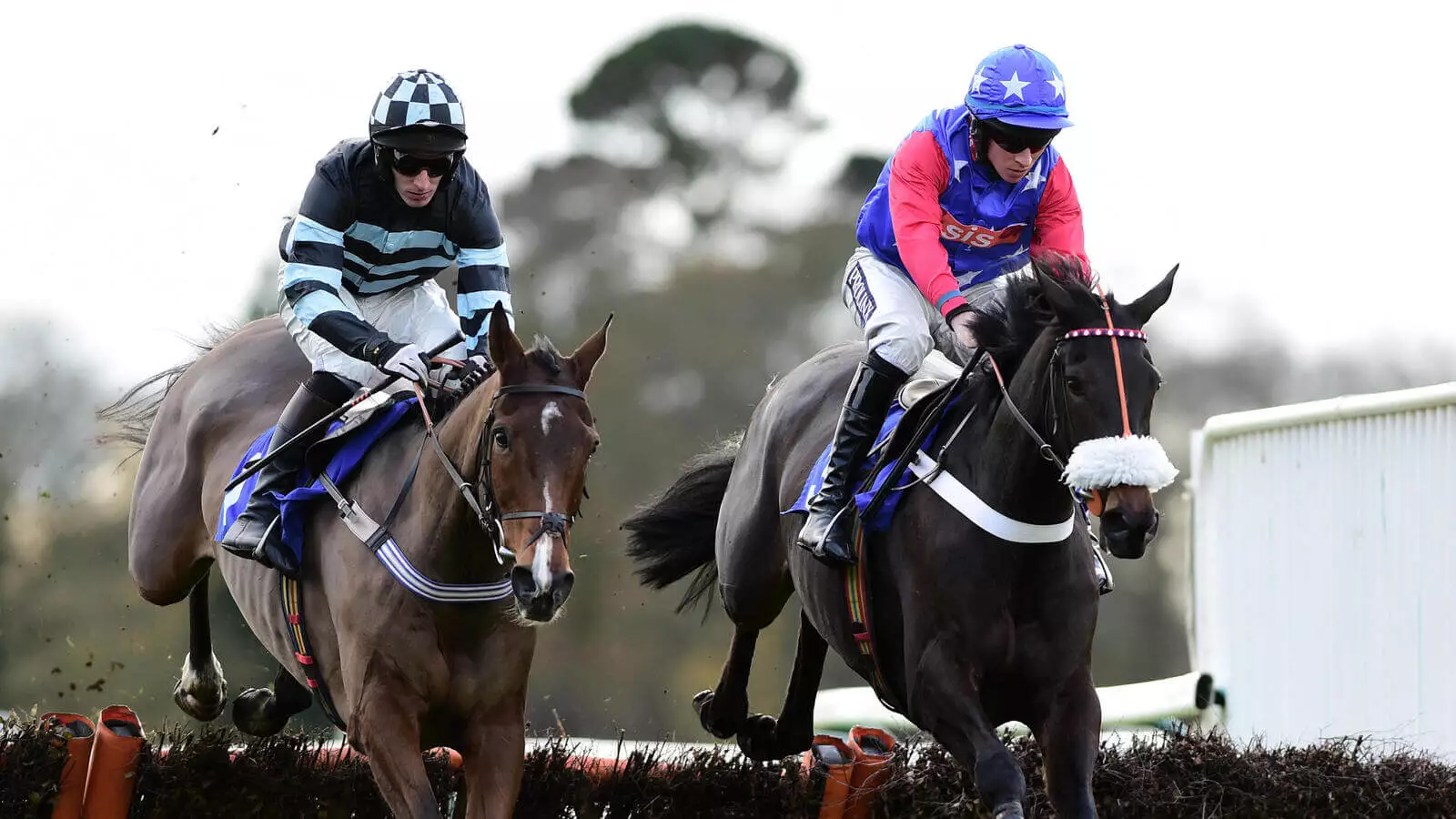 Tuesday’s Horse Racing Tips: Fontwell, December 12th - bettingexpert ...