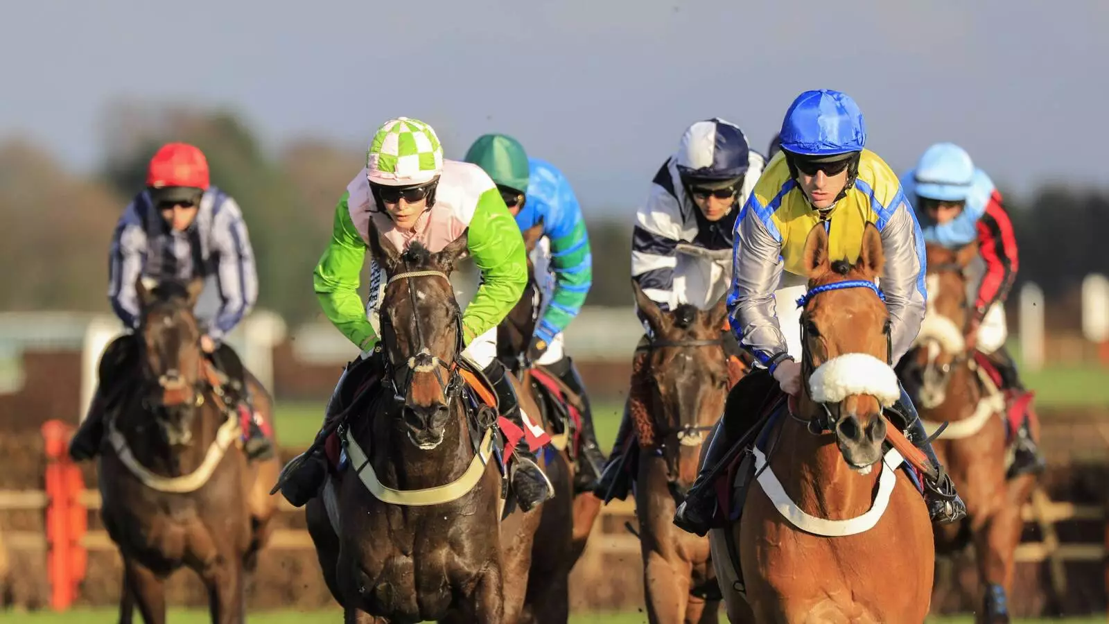 Thursday’s Horse Racing Tips: Haydock, July 6th - bettingexpert News
