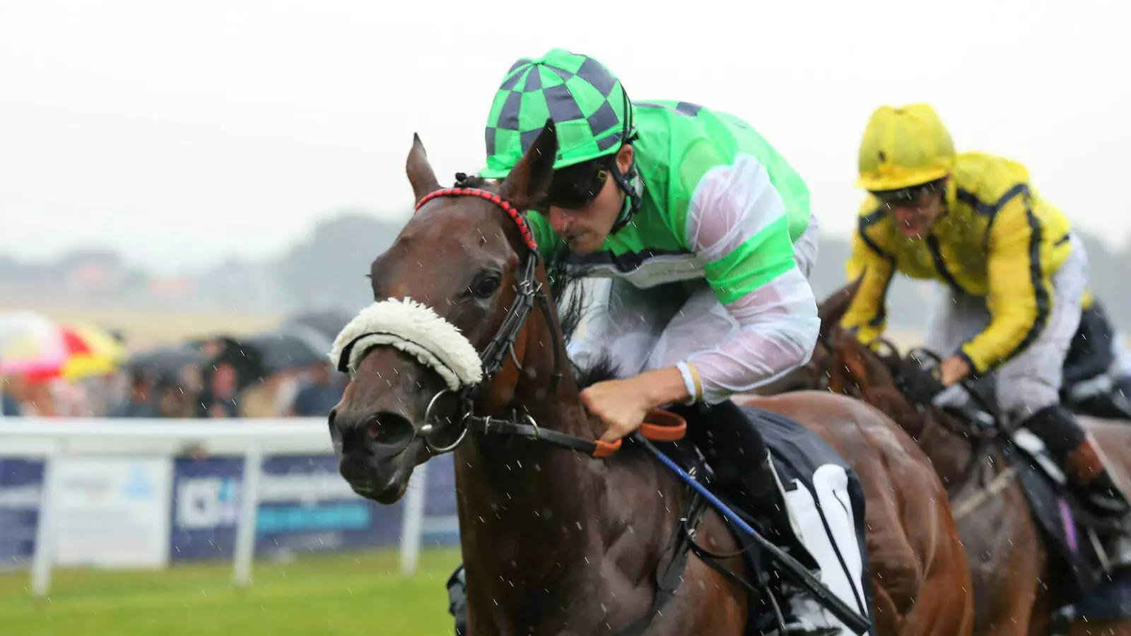 Thursday’s Horse Racing Tips: Beverley, August 17th - bettingexpert ...