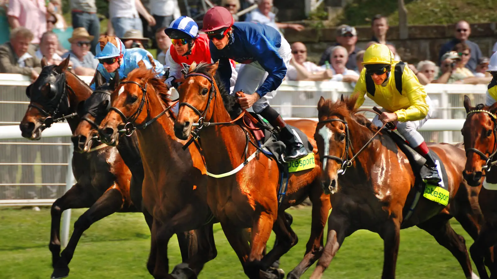 Thursday's Horse Racing Tips: Chester, May 9th