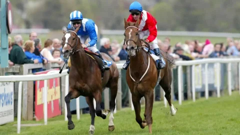 Horse racing betting insights | Tips & Analysis from bettingexpert