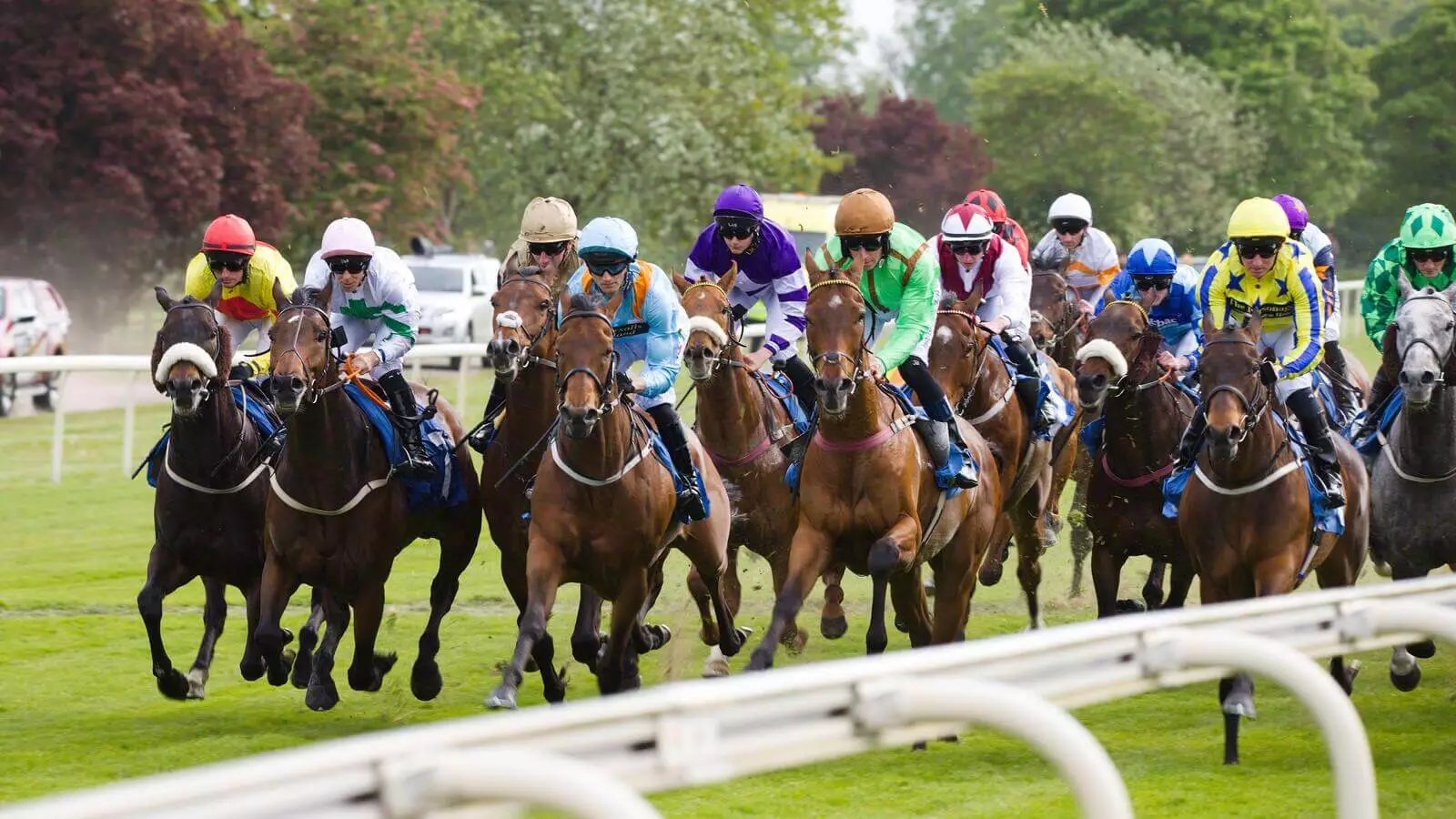 Monday’s Horse Racing Tips: Hamilton, October 2nd -= bettingexpert Insights