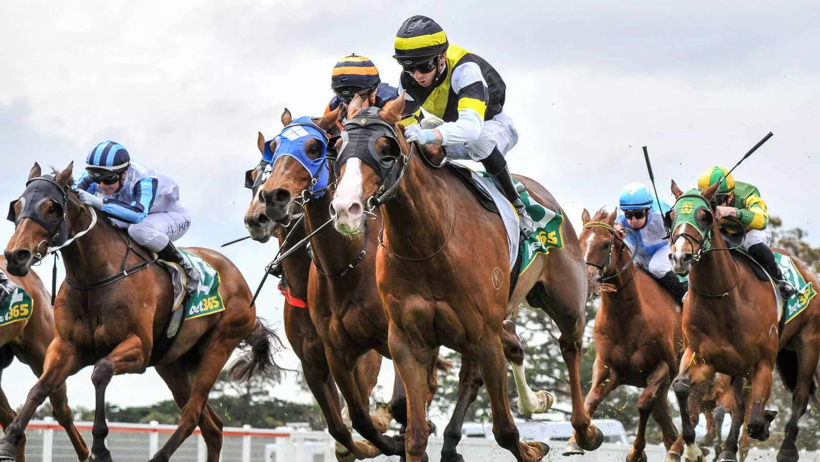 Thursday’s Horse Racing Tips: Bath, July 20th - bettingexpert News