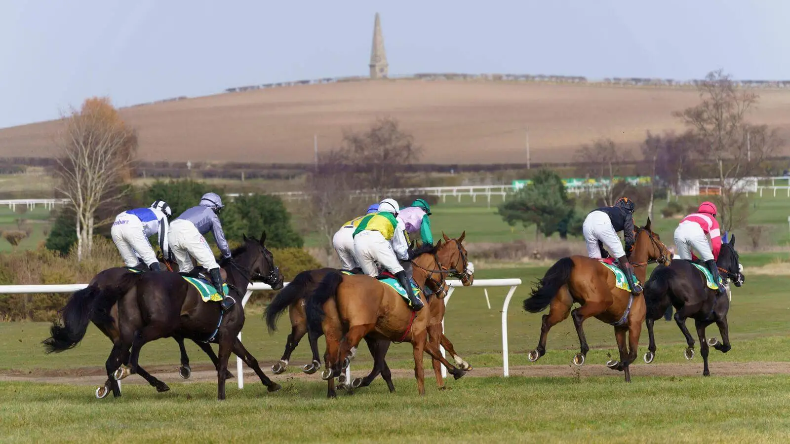 Sunday’s Horse Racing Tips: Kelso, January 14th - bettingexpert Insights
