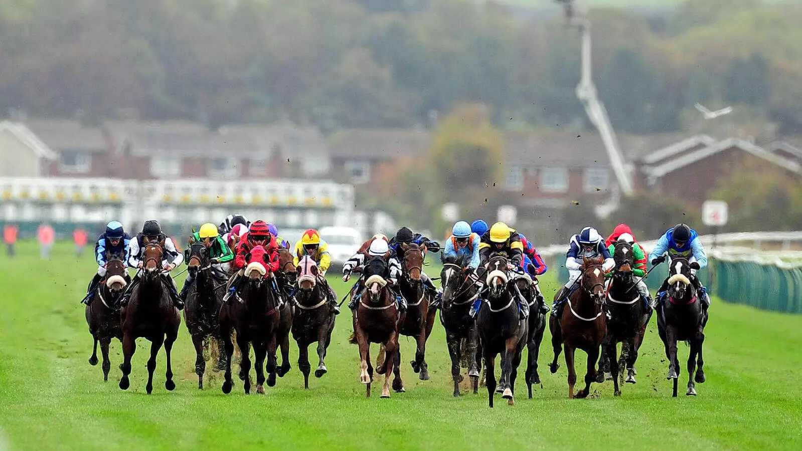 Friday’s Horse Racing Tips: Redcar, October 20th - bettingexpert Insights