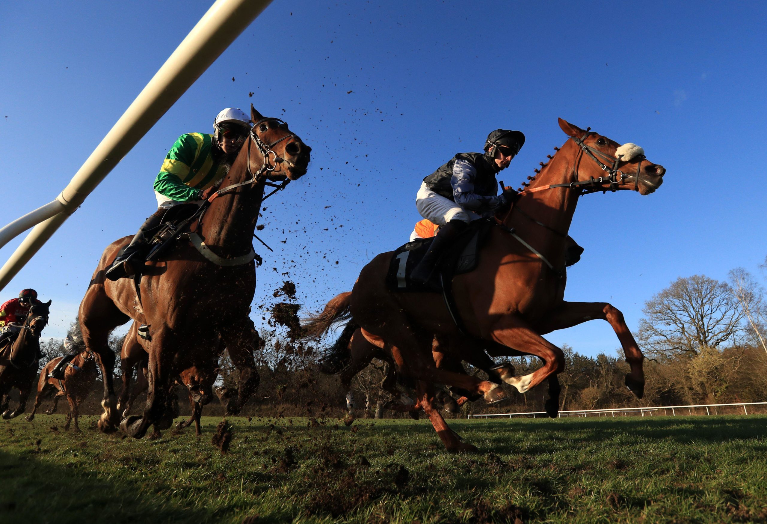 Today's Horse Racing Tips: Friday January 21st - bettingexpert News