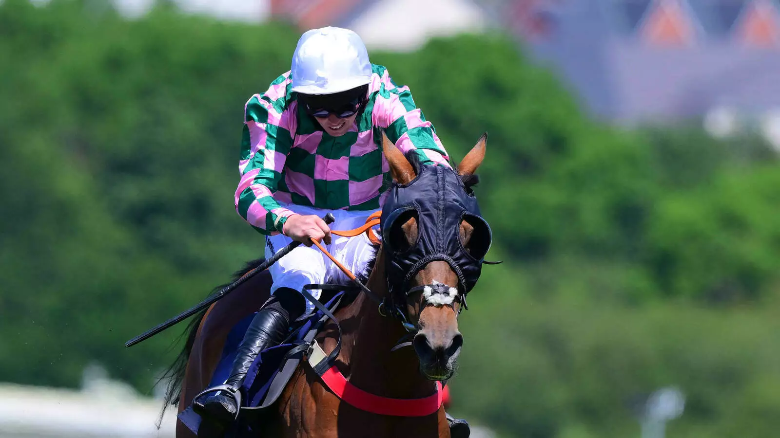 Monday’s Horse Racing Tips: Ayr, August 7th - bettingexpert News