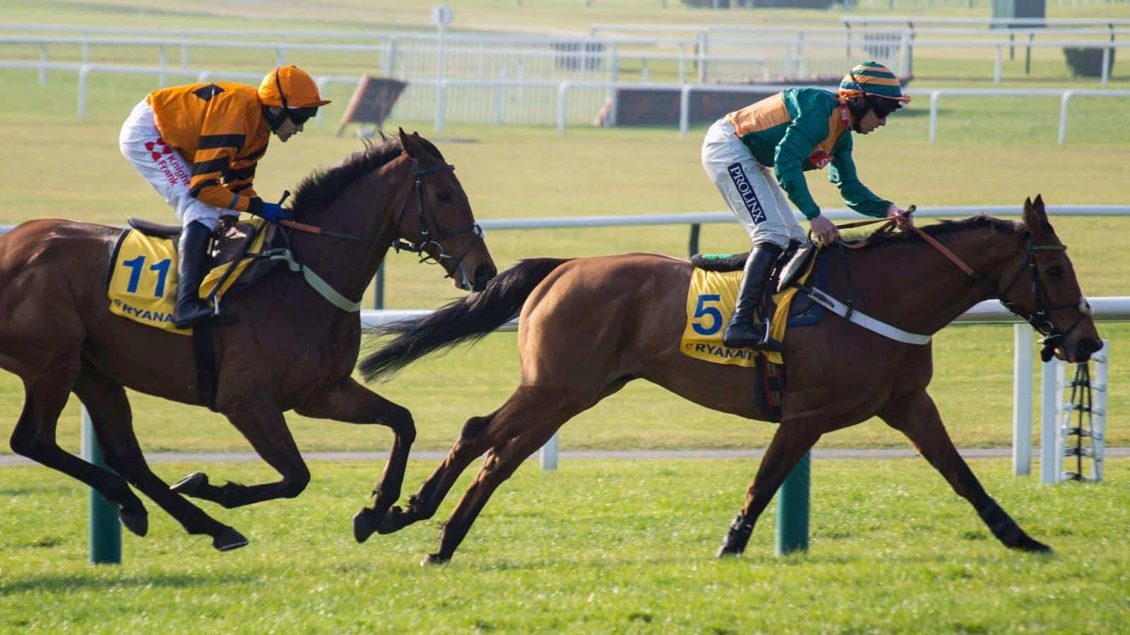 Cheltenham Day 1 selections - Tuesday March 11th