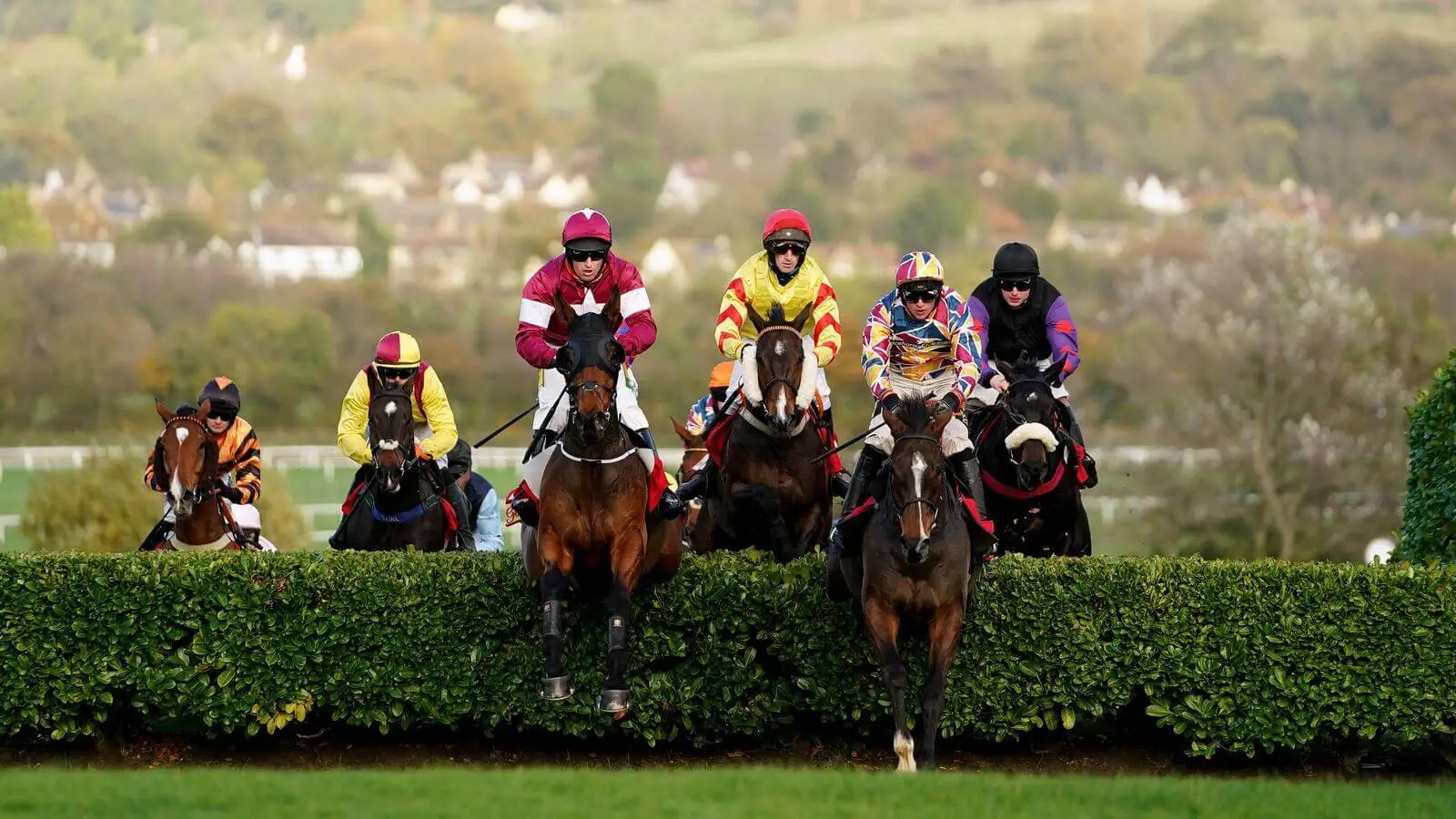 Saturday’s Horse Racing Tips: Cheltenham, Doncaster, December 16th ...
