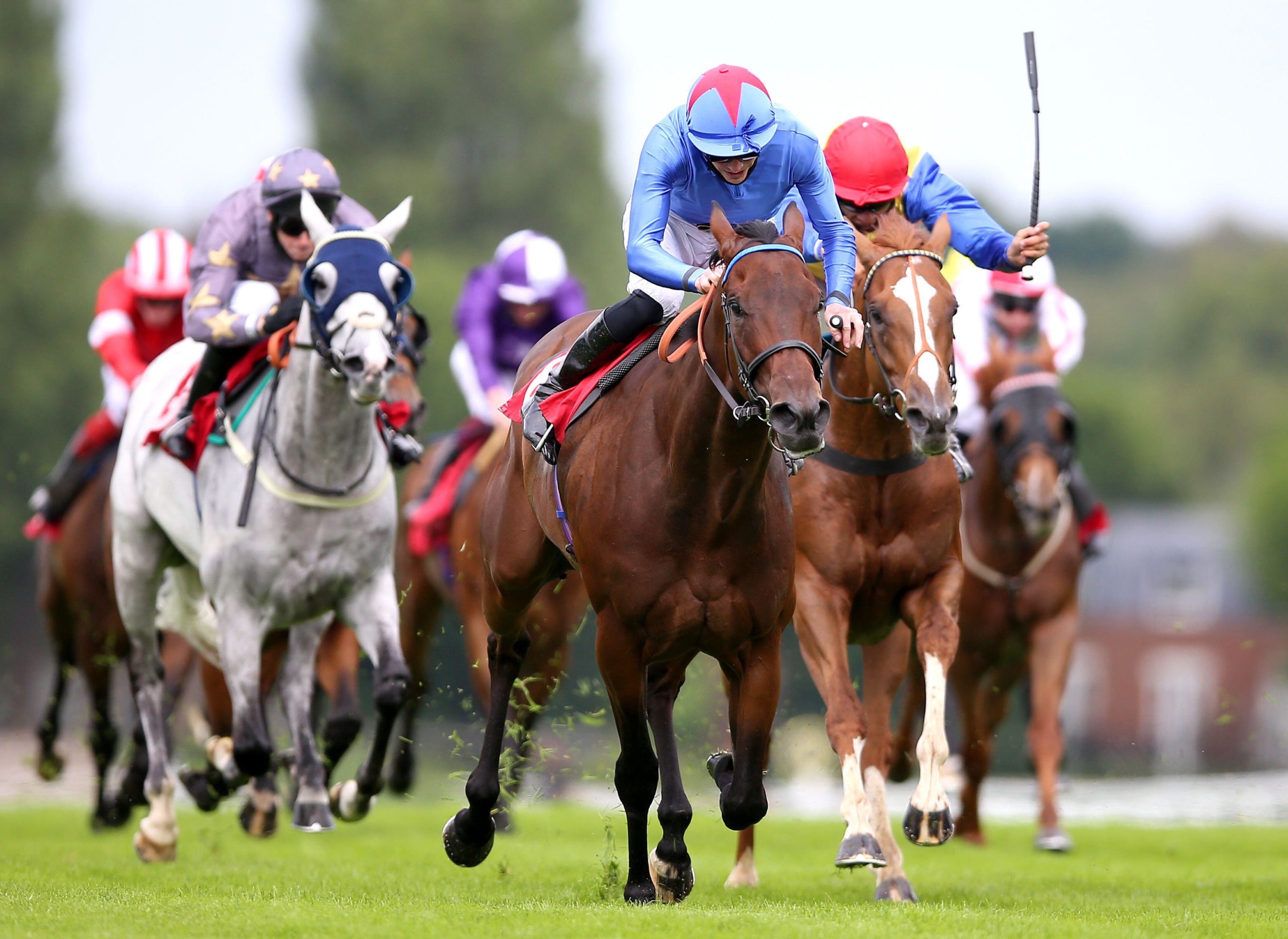 Today's Horse Racing Tips: Friday July 1st - bettingexpert News