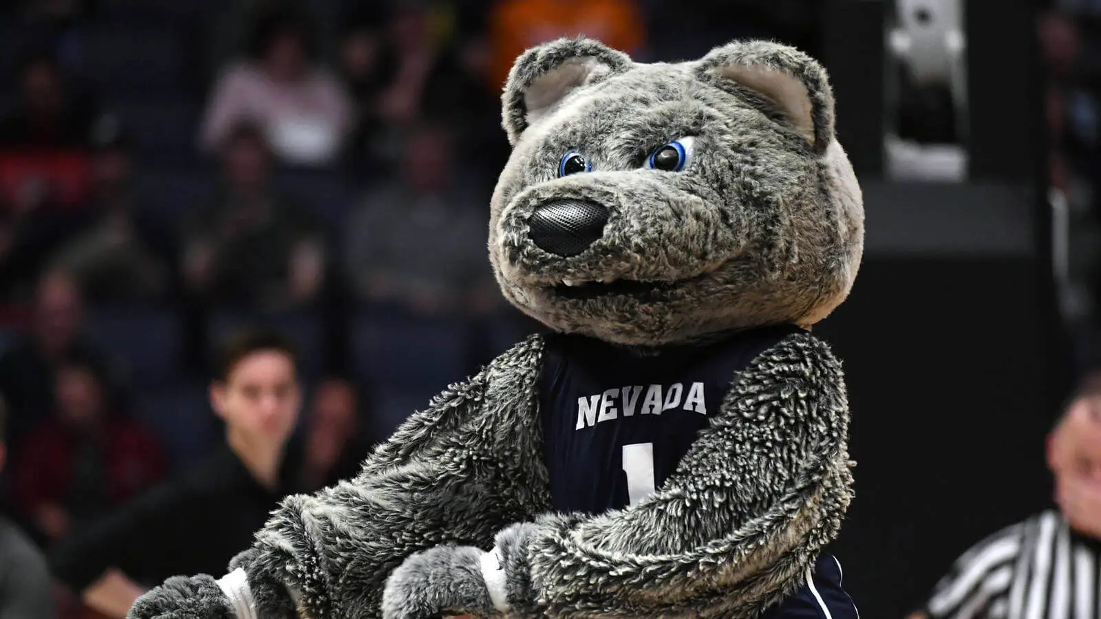 Nevada Wolf Pack vs San Diego State Aztecs Picks and Prediction ...