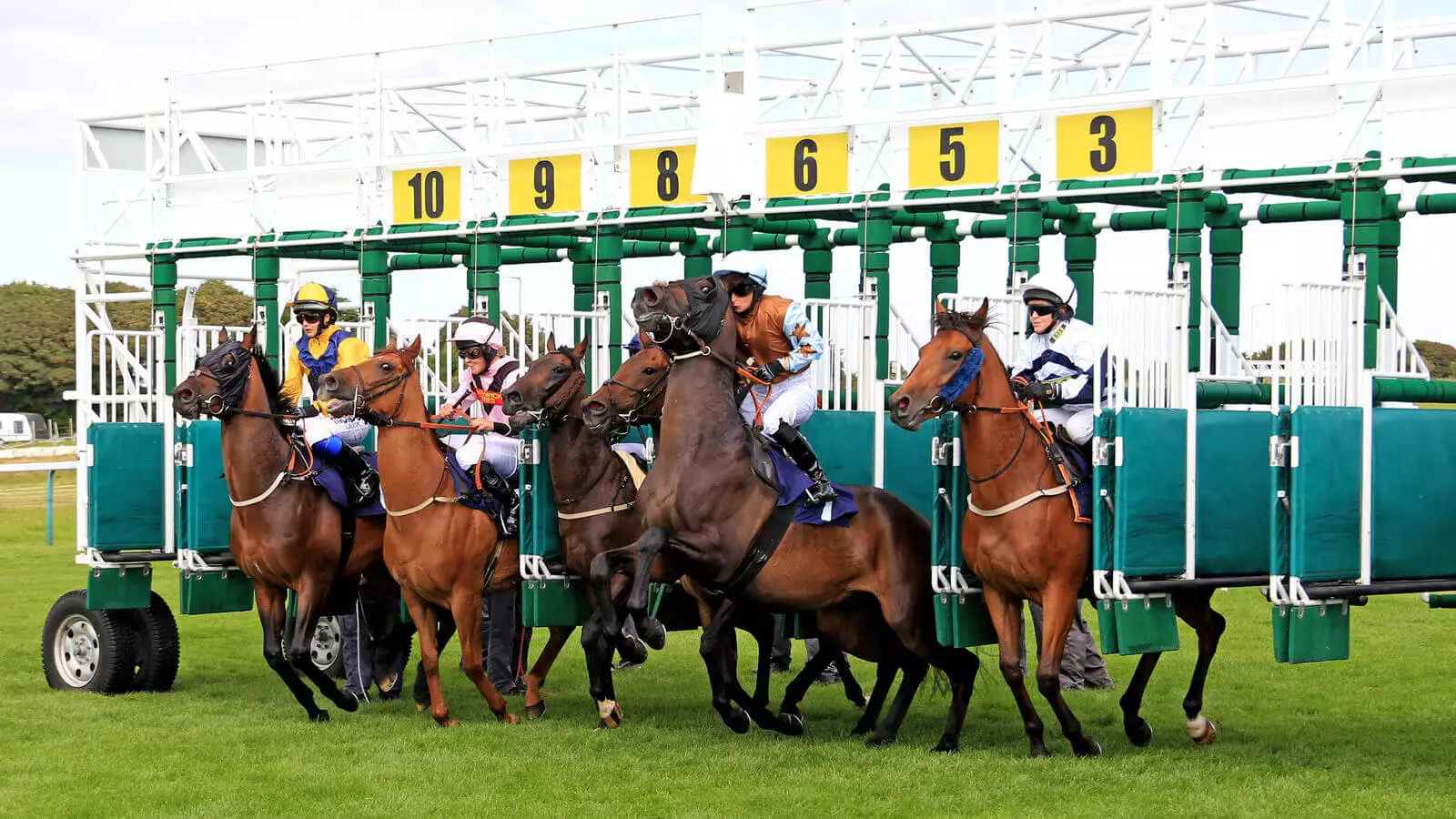 Tuesday’s Horse Racing Tips: Brighton, June 27h - bettingexpert News