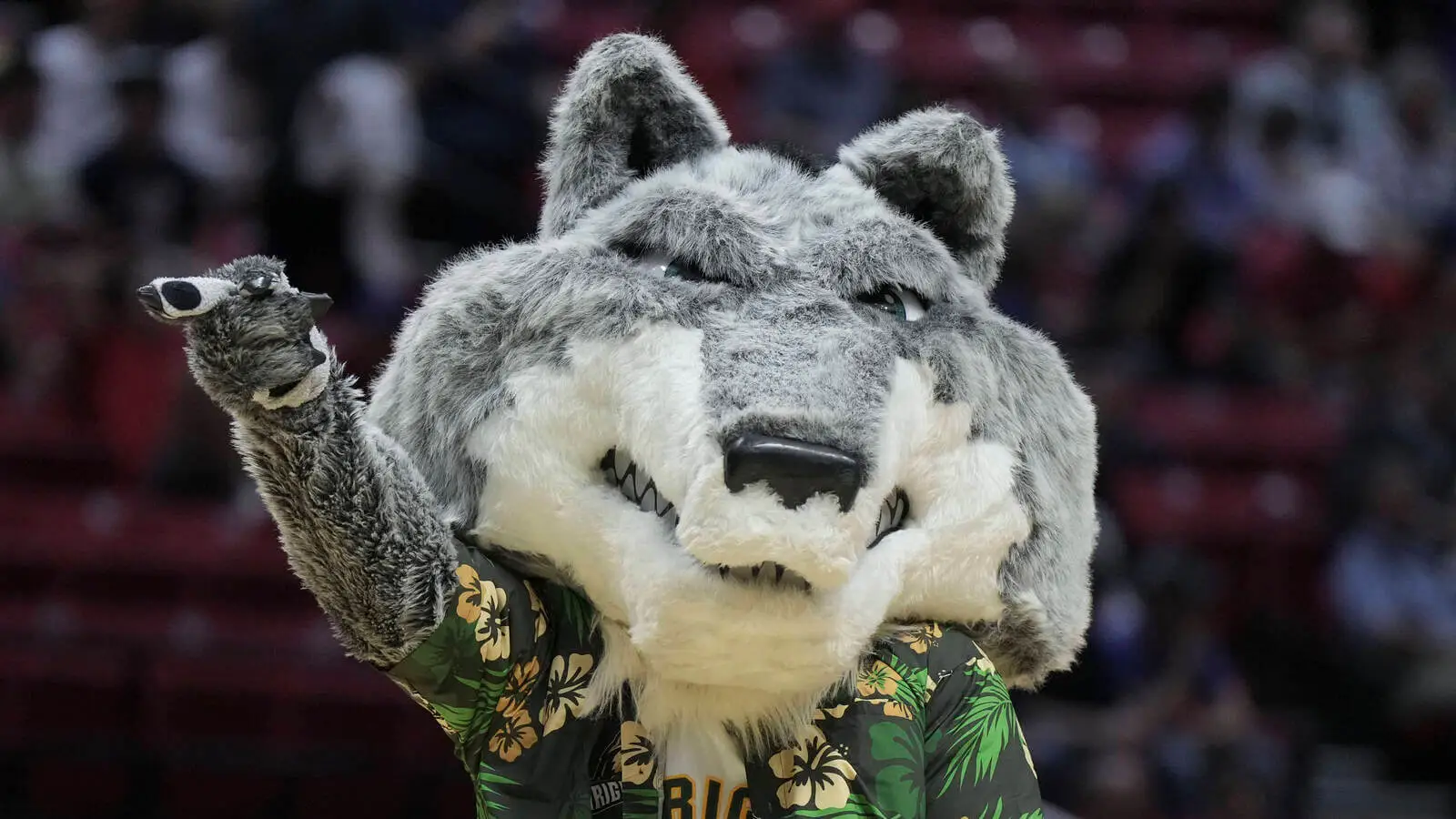 Youngstown State Penguins vs Wright State Raiders Picks, Odds, Game ...